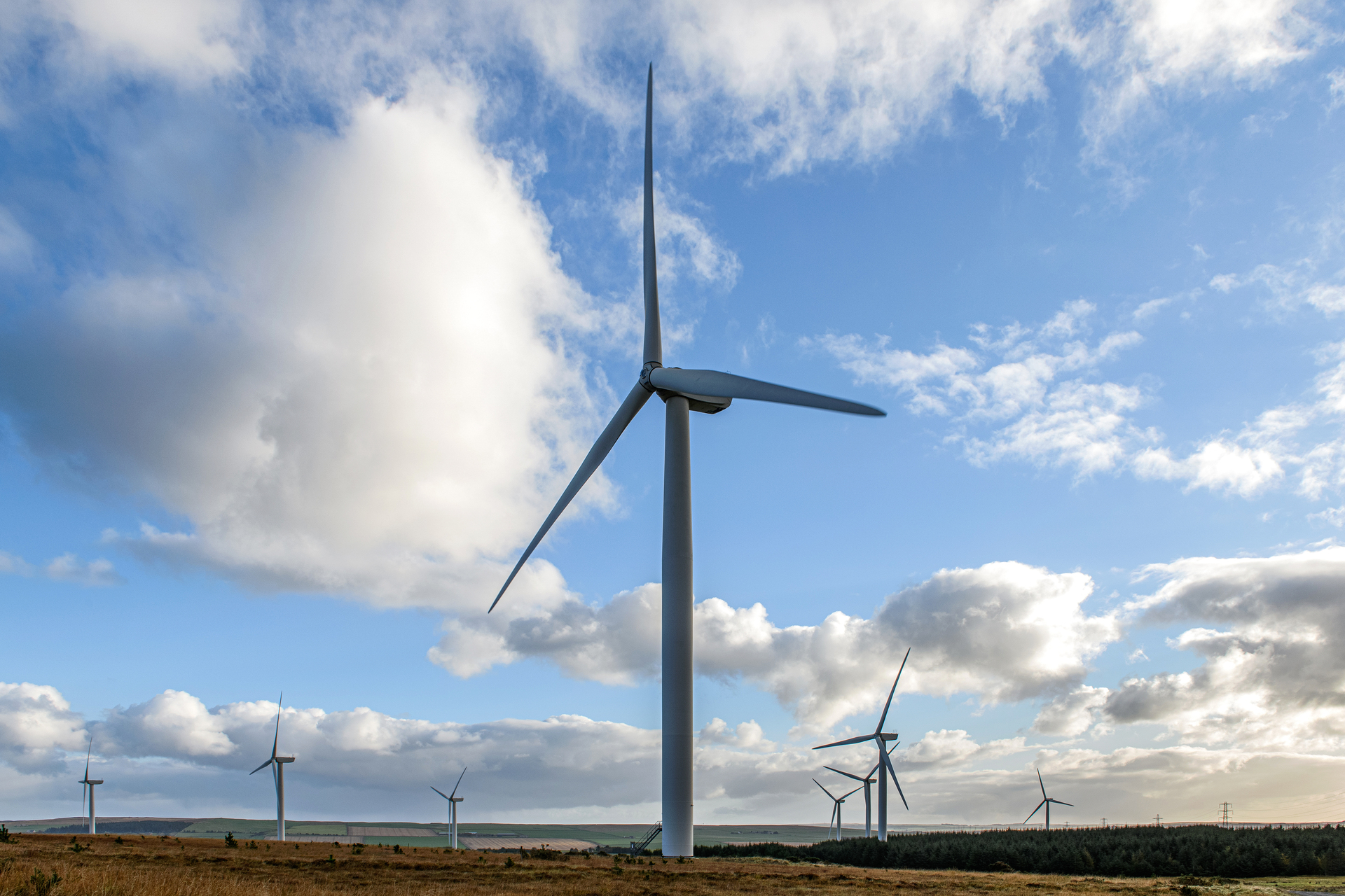 COP28: The world needs to triple up on renewables